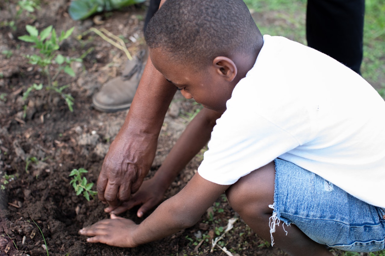 Access to Nature- Children's Environmental Health Network
